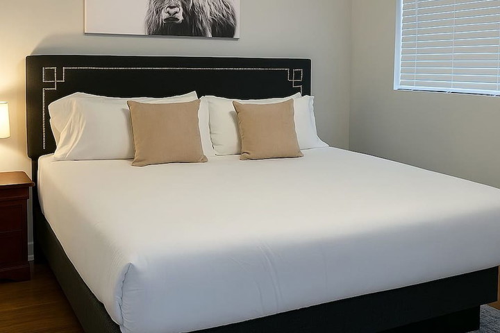 Delightful 1br Apt In Ravenswood - Chicago, IL