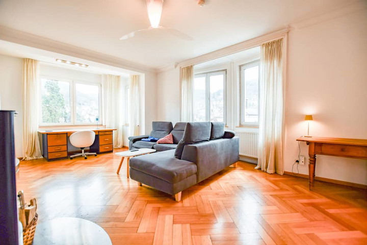 Holiday Flat "Villa Fink Obergeschoss" With Mountain View, Private Terrace And Wifi. - Schiltach