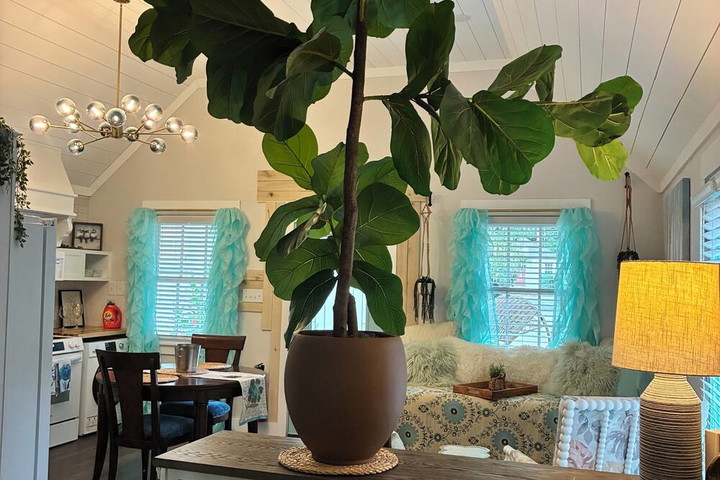 Charming Cottage In Historical Beaufort, Sc. - Port Royal, SC