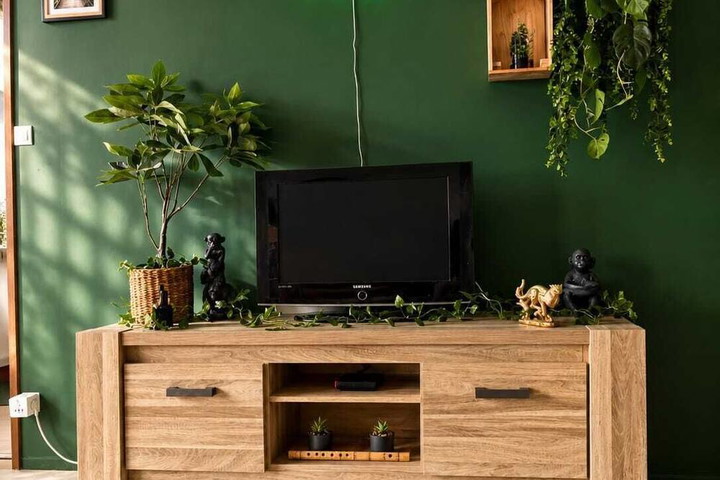 Studio- Jungle Room - Avallon