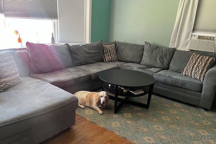 Pet Friendly Suburban Retreat - Bedford, NY