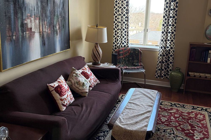 Cozy 1-bedroom Condo In Downtown Winston-salem, Free Parking! - Winston-Salem, NC