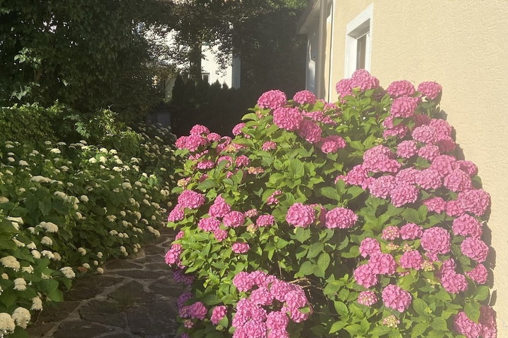 Gemütliches Ferienhaus Im Salzkammergut - Ebensee