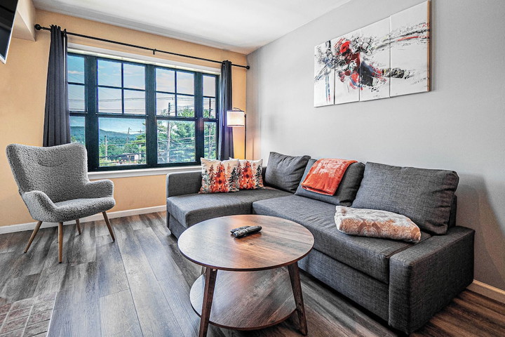 Cozy 1-bedroom Condo-ski In/out/waterpark/king Bed/wifi/parking - Sparta Township, NJ