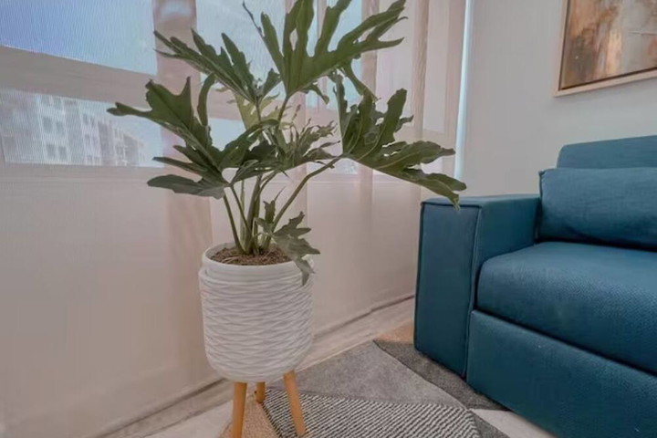 Acogedor Apartamento Recién Remodelado - Barranquilla