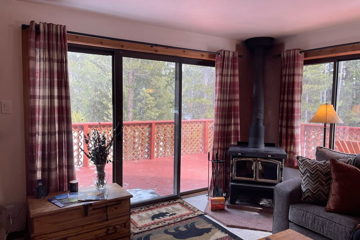 Cozy Mountain Retreat - Georgetown, CO