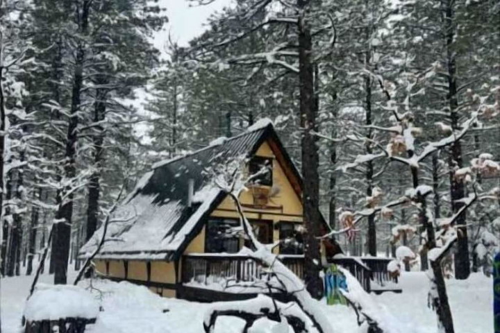 Cozy Mountain Cabin Az - Williams, AZ