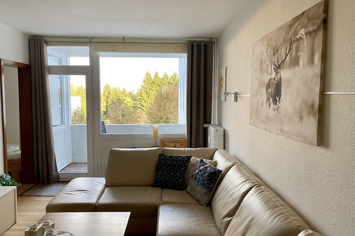 Appartement Confortable Et Moderne Pour 4 Personenmit Vollausstattung - Clausthal-Zellerfeld