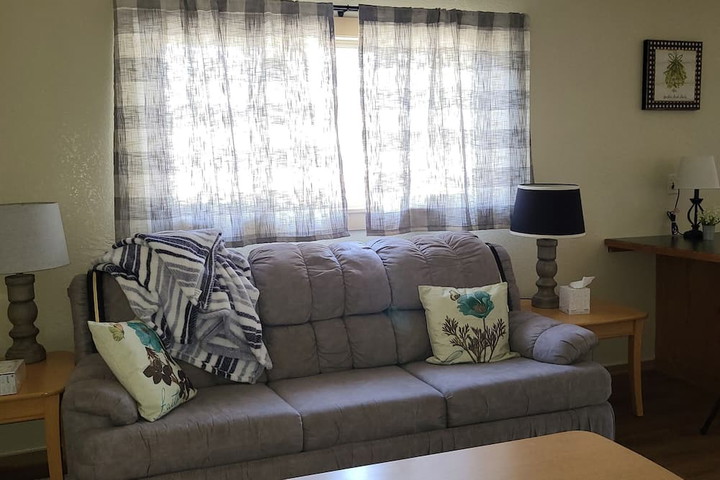 Cozy Apartment #2 Near Midland City Center - Midland, MI