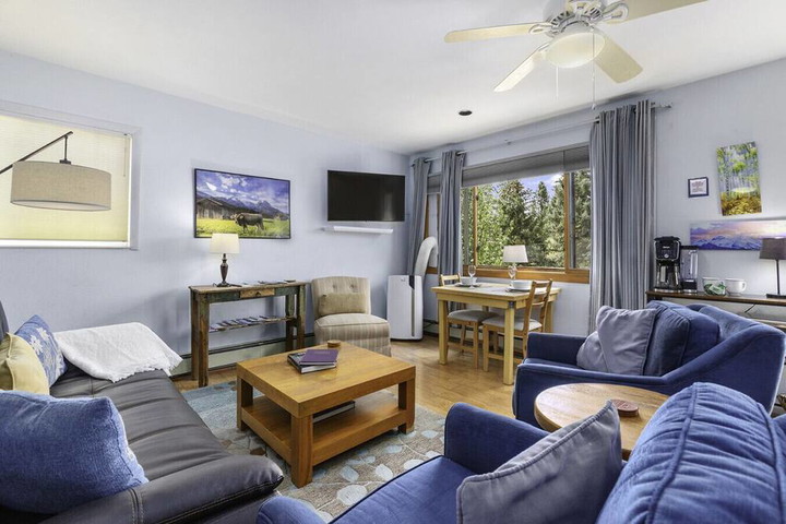 Charming Studio With Mtn.views,walk To Dwntwn - Carbondale, CO