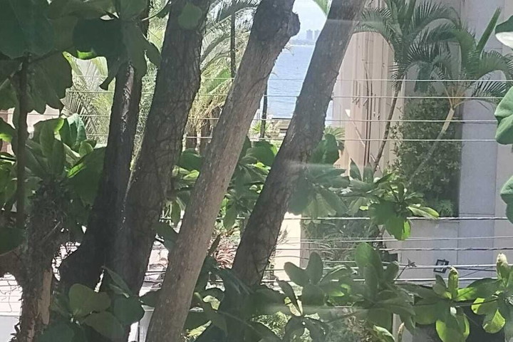 Apartment With 1 Bedroom And Balcony, Sea View. - Guarujá