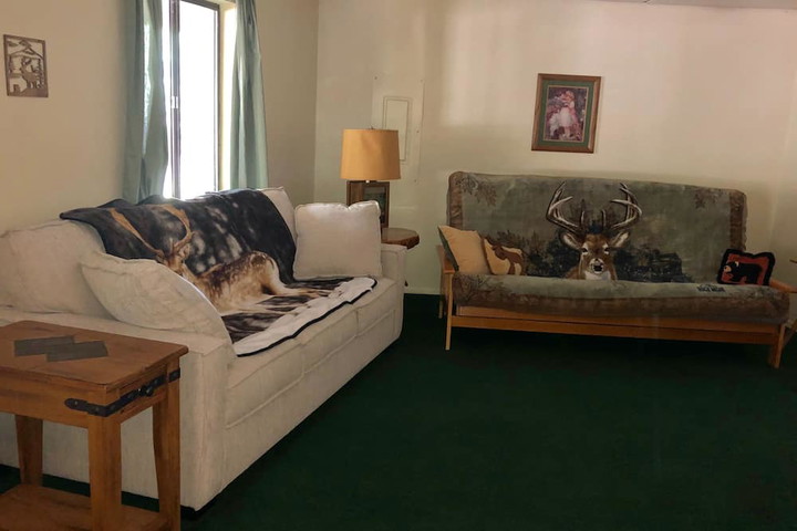 Privacy! One  & 1/2 Acre With Wrap Around Deck. Backs The National Forest. - Pine, AZ
