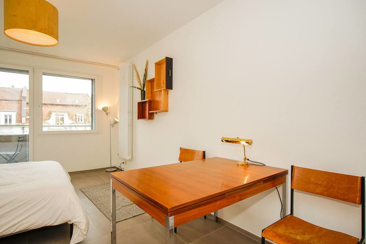 Stylish Apartment With Free Baselcard - Basel