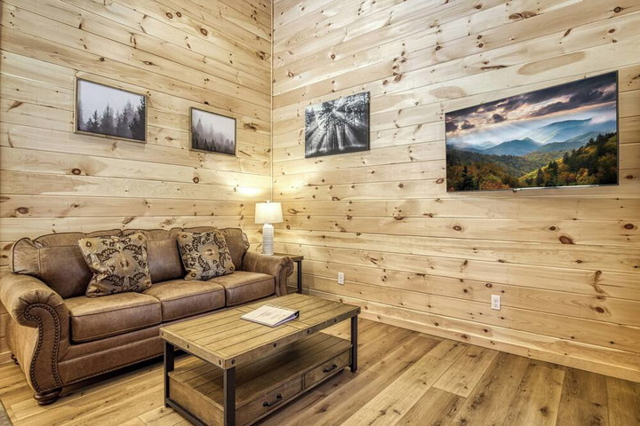 Misty Cove Cabin -Pickleball Court, Creek, Wifi, Budget Friendly - Cosby, TN