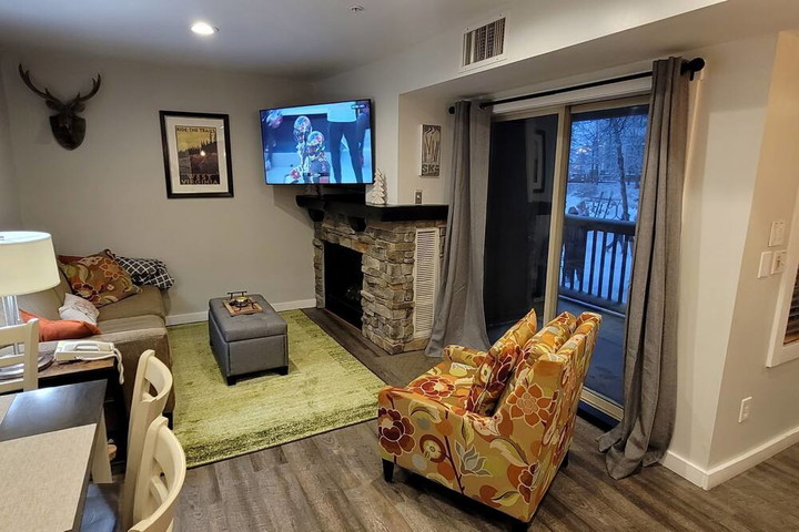 1 Bedroom / Memory Foam Sleeper Sofa.sleeps 4. Hot Tub,ski Locker Heated Garage - Snowshoe, WV
