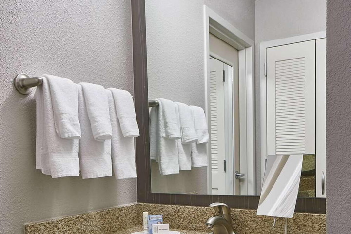 Pet-friendly Hotel Near Raleigh-durham International Airport With Free Shuttle! - Raleigh