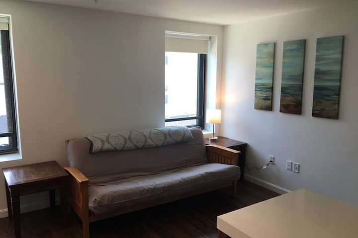 Neu Möbliert, 1 Schlafzimmer, 1 Bad. Blick Auf Die Ganze Stadt! - Boston, MA
