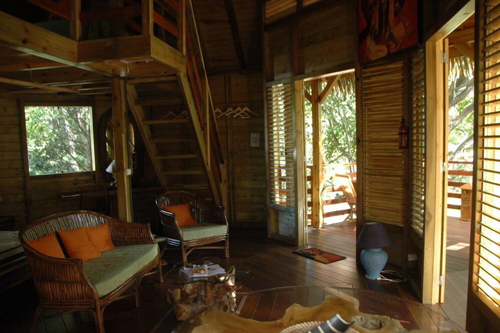 My Cabin-star Trail - Guadalupe