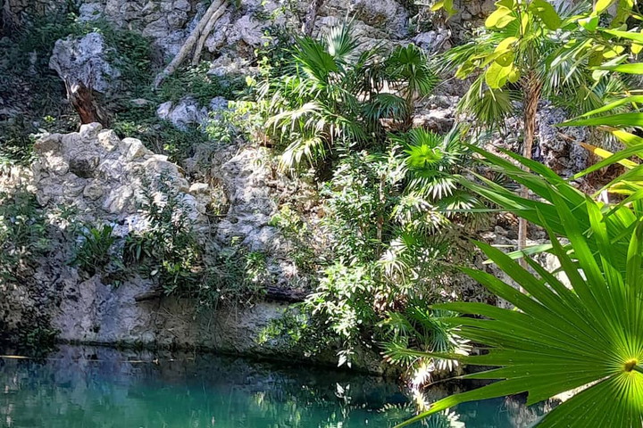 Cabaña En La Selva Con Cenote - Riviera Maya
