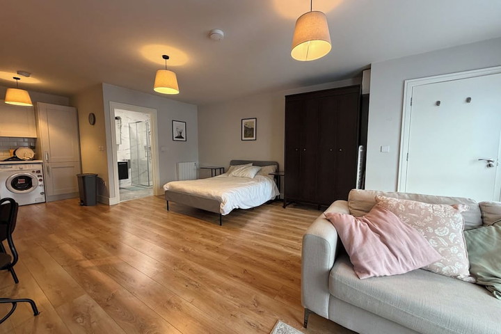 Modern Leixlip Studio With Wifi And Kitchen - Dunboyne