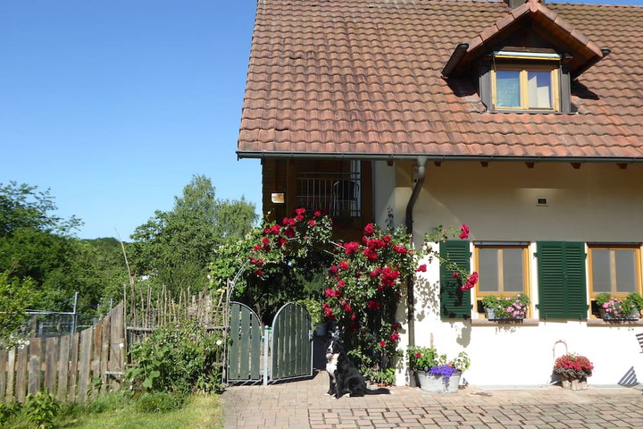 Spacieuse Maison Au Jardin à La Ferme - 12 Pers. - Cassel, France