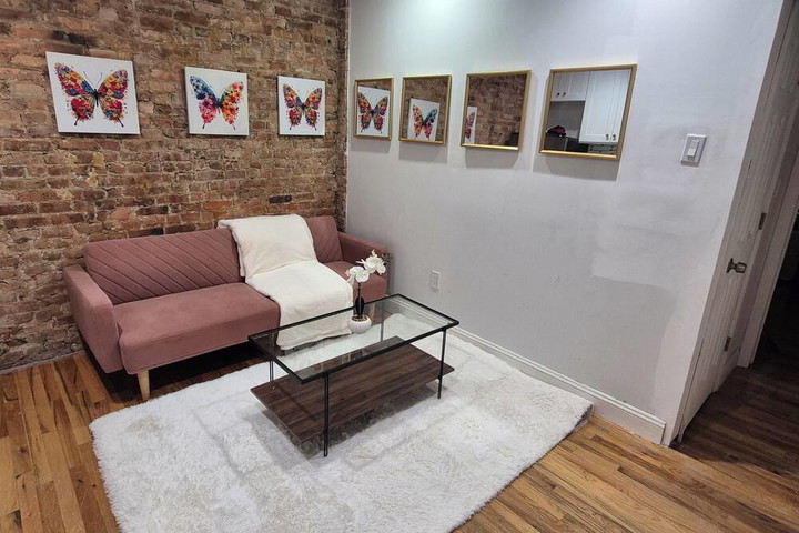 Luxury 1br Apartment In Bed-stuy Brownstone - Manhattan, NY
