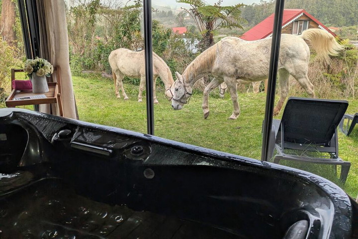 Le Chalet Du Badamier Blanc Avec Jaccuzzi - La Réunion