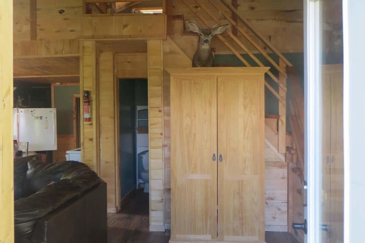 Mountain Cabin Boasting Several Outdoor Amenities For All Seasons - Snowy Range, WY