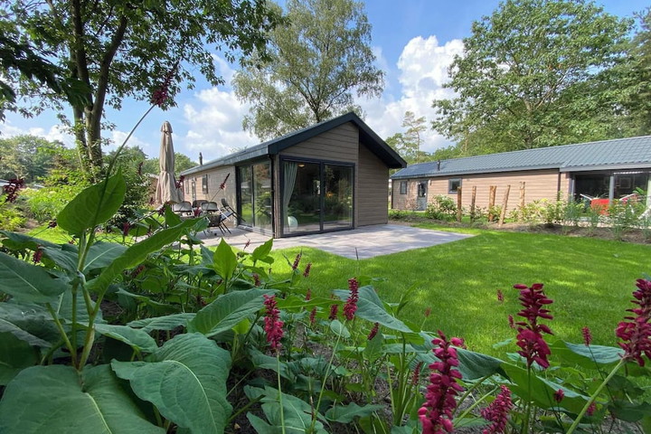 Chalet With 3 Bedrooms And 1 Bathroom - Zeist