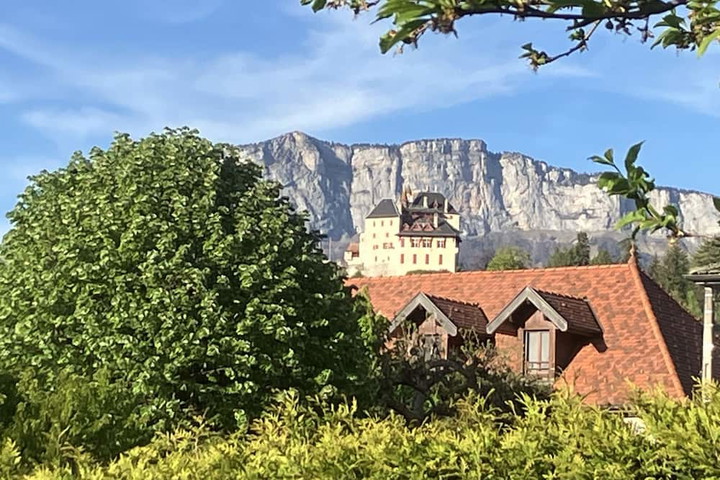 Maison De Style Savoyard - Lathuile