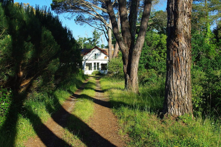 House - Large Garden - Quiet And Close To Nature - Lacanau