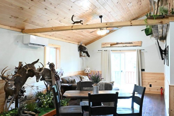 Riverfront Deer Cabin - Big Rapids, MI