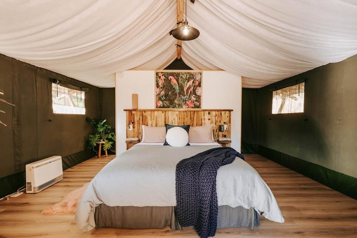 Jungle Den Experience The Ultimate Retreat In A Luxury Tent - Bay of Plenty
