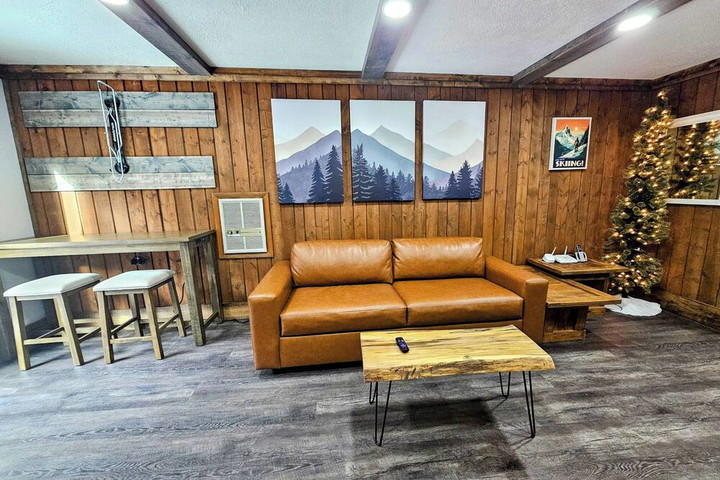 Shamrock 73 - 2br/2ba - Pet Friendly - Fully Renovated! - Snowshoe, WV