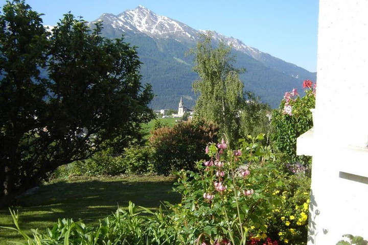 Le Genepy - Aussois - Gîte - Aussois