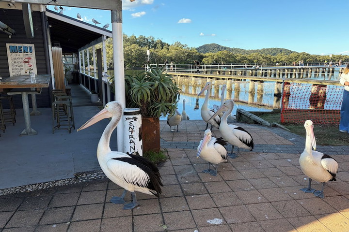 A Cosy Cabin In Umina Beach - North Shore