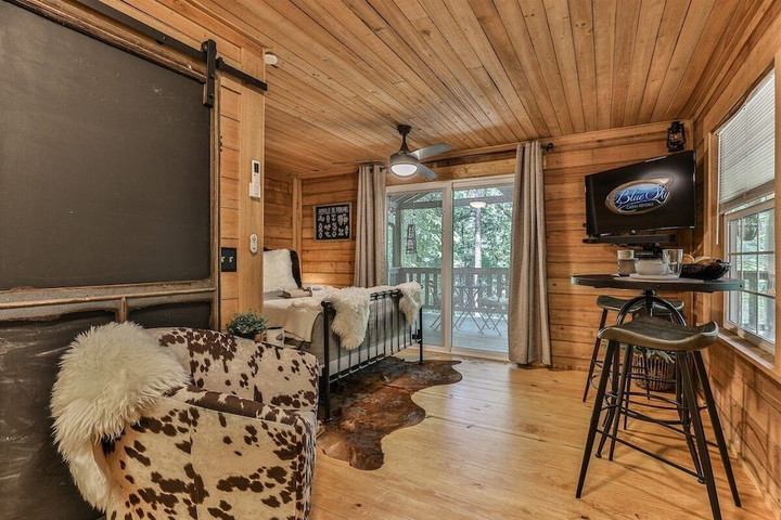 Bear Necessities | Ellijay, Ga - Chatsworth, GA