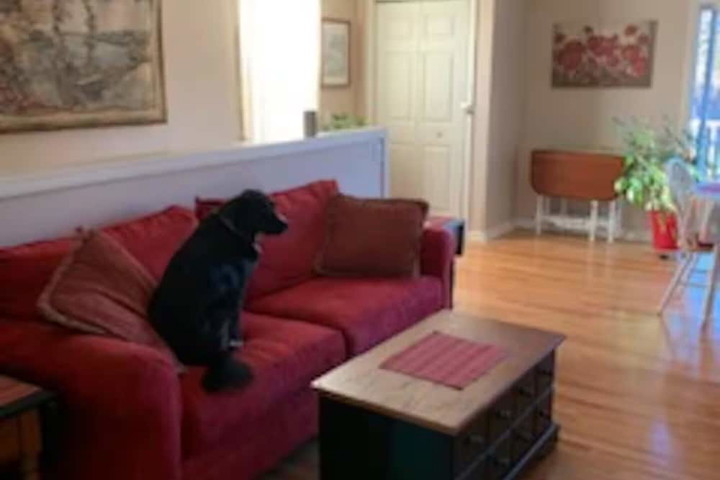 Airy And Sunny 2nd Floor, Privately Accessed 1 Bedroom Apartment In Swansea, Ma. - Tiverton, RI