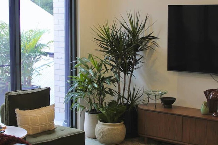 2br Bellingen Home Near River, Cafés & Markets - Urunga