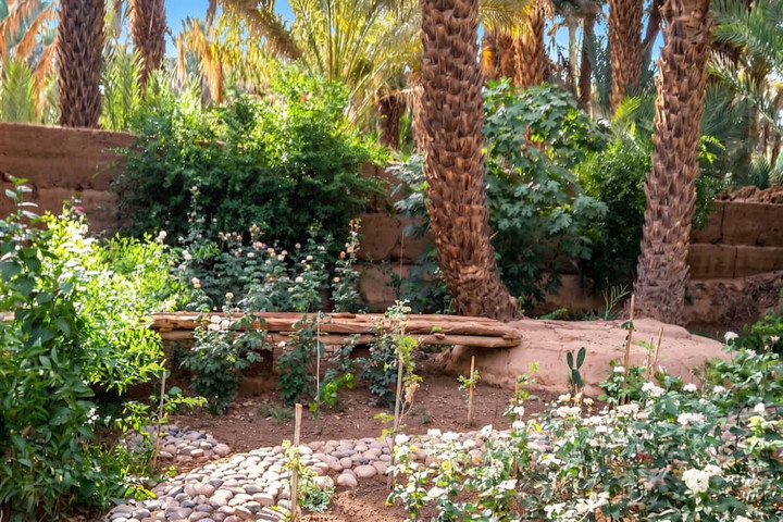 Homerez - House In Zagora - Zagora