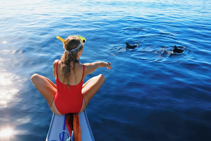 Sun-kissed Sailing Adventure In Puerto De Toulon - Toulon