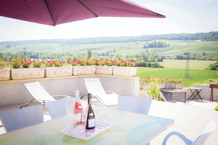 Gîte Du Vignoble, Au Coeur Des Vignes De La Vallée De La Marne ! - Épernay