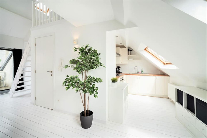 Stijlvol Terrasappartement In Antwerpen - Antwerpen