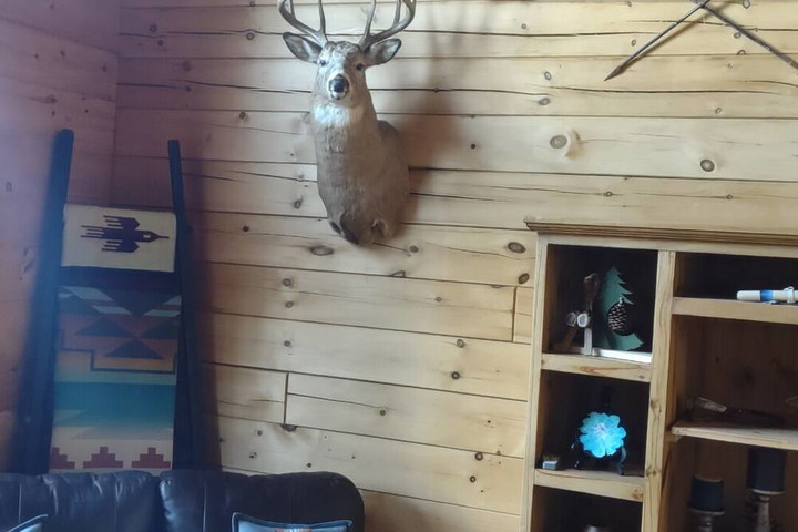 Perfect 3-bedroom Cabin In Tranquil Crescent Lake Oregon With Ac - Odell Lake, OR