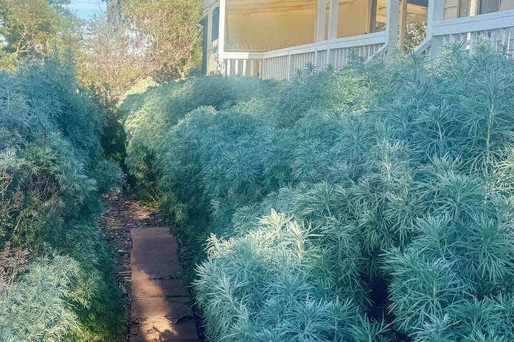 Private Cottage, Stunning Views, Amongst Vines, Close To Beaches And Wineries - Adelaide