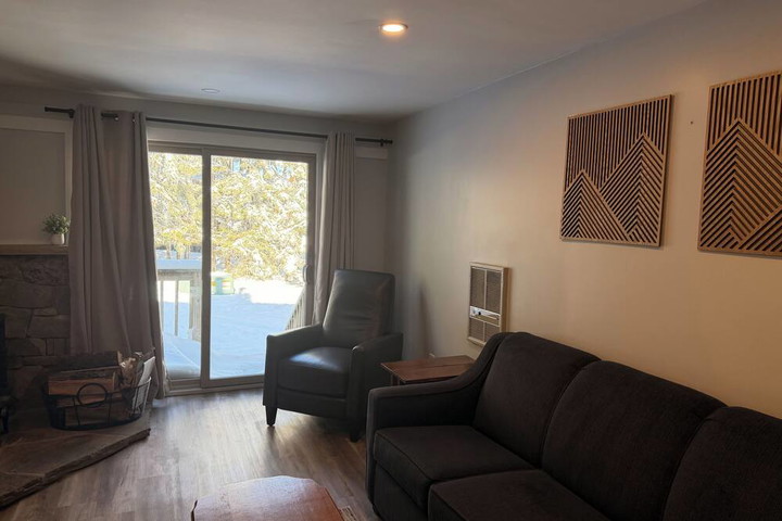 Sr 41  Cozy Ski-out Completely Remodeled Shamrock Retreat - Snowshoe, WV