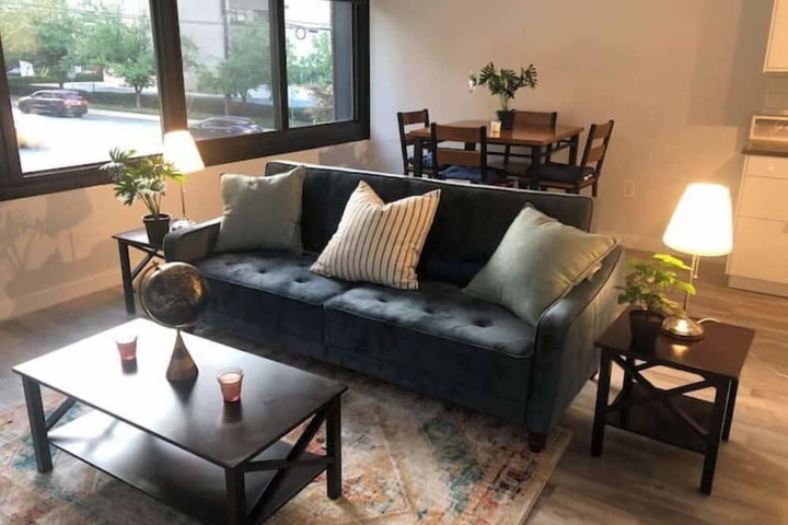 New Cozy Exquisite Condo In Downtown Silver Spring - Silver Spring, MD