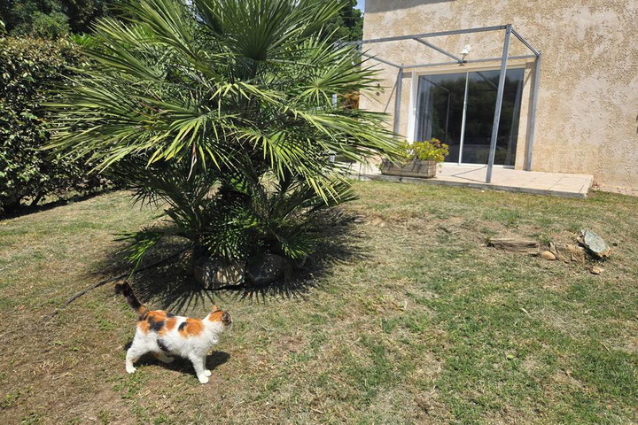 A Peaceful Getaway In Corsicaprivate Garden, 5 Minutes From The Beach. - Aléria