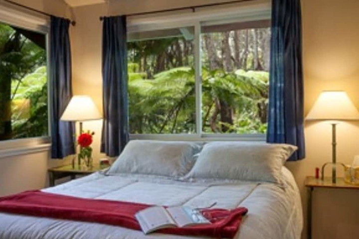 Charming 2 Bedroom Cottage Walking Distance From Volcano Village - Volcano, HI