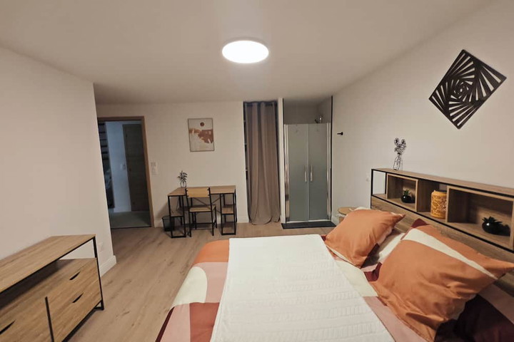 Grand Appartement Entre Paris - Disneyland - Aéroport Cdg - B.olympique Vaires - Val-d'Oise